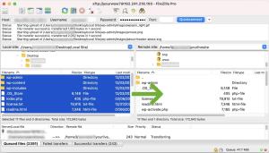 How to Move a WordPress Site from Localhost to Live Server