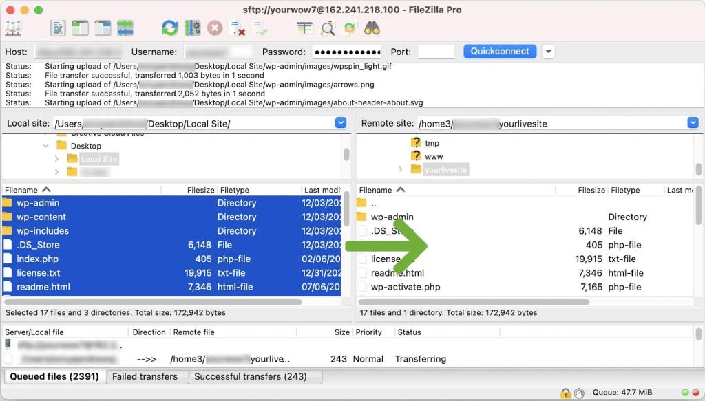 How to Move a WordPress Site from Localhost to Live Server