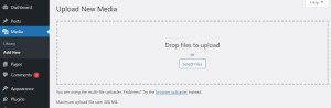 How to Bulk Upload Files & Media to WordPress via FTP