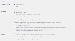 How to Serve Static Assets with an Efficient Cache Policy on WordPress