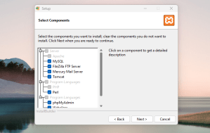How to Install & Set Up WordPress on Localhost - 2025 Guide
