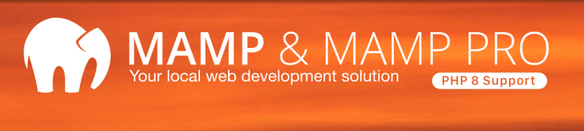 8 Best Local WordPress Development Environments in 2025