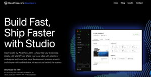 8 Best Local WordPress Development Environments in 2025